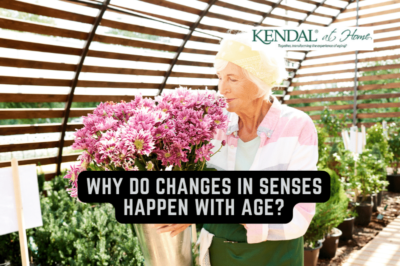 How Senses Change as You Age & How to Protect Them