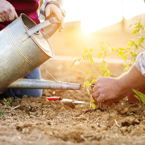 Simple Safety Tips for Working Outdoors